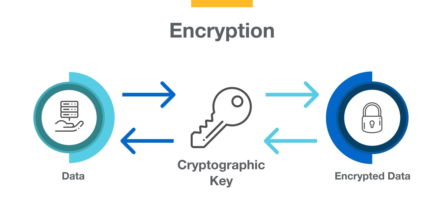 Securing Healthcare Data with Encryption